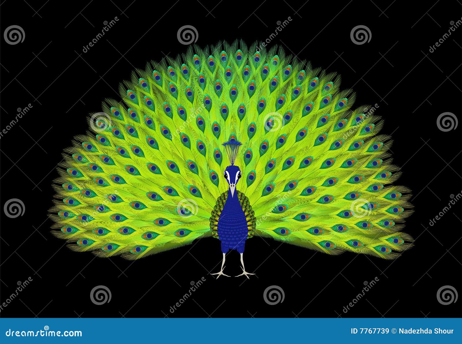 Flaunt Cartoons, Illustrations & Vector Stock Images - 130 Pictures to ...