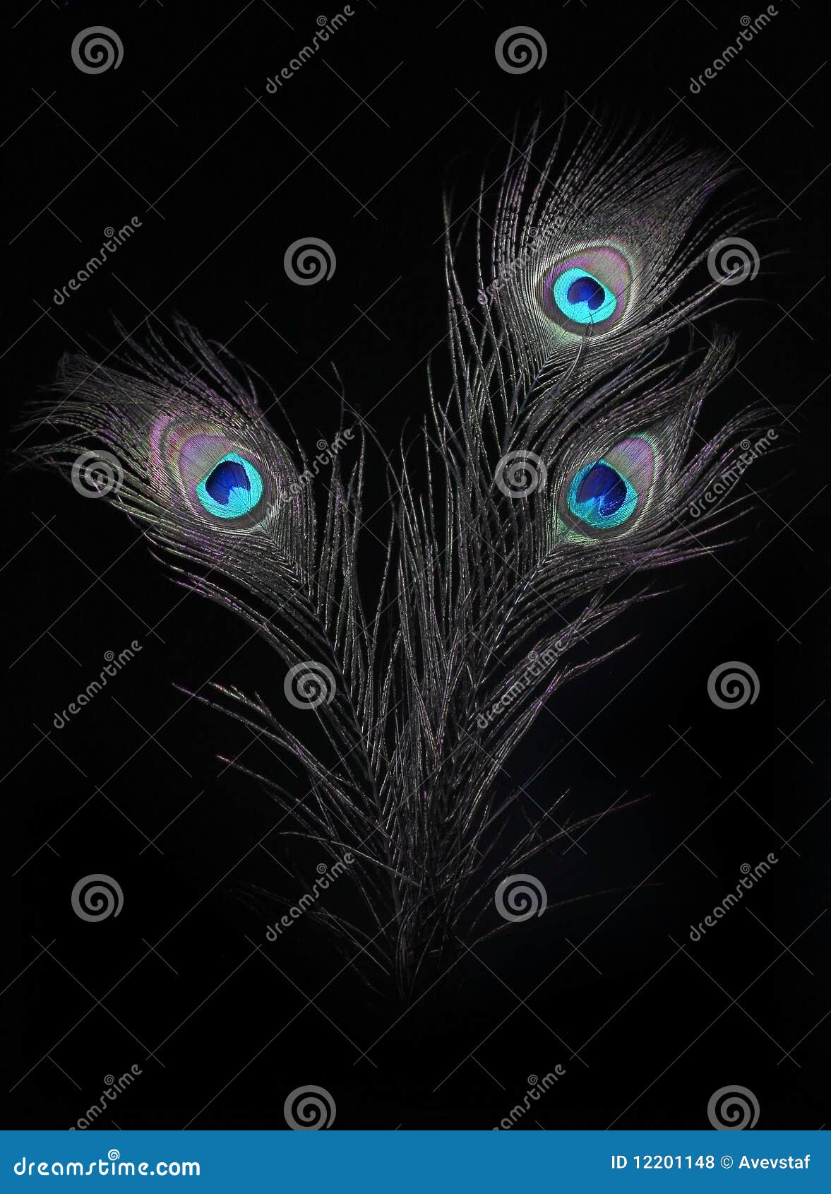 The peacock eyes 7 stock photo. Image of dark, blue, mosaic - 12201148