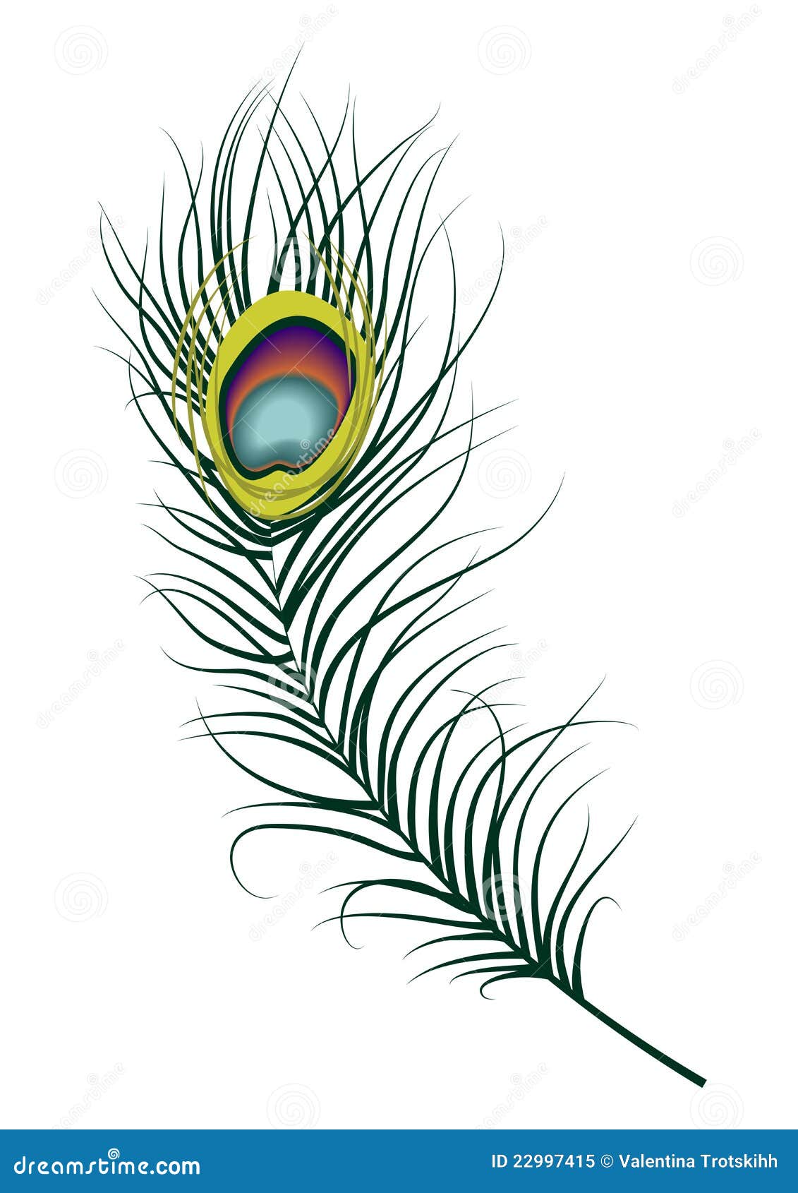 Peacock Feather Vector Free Download