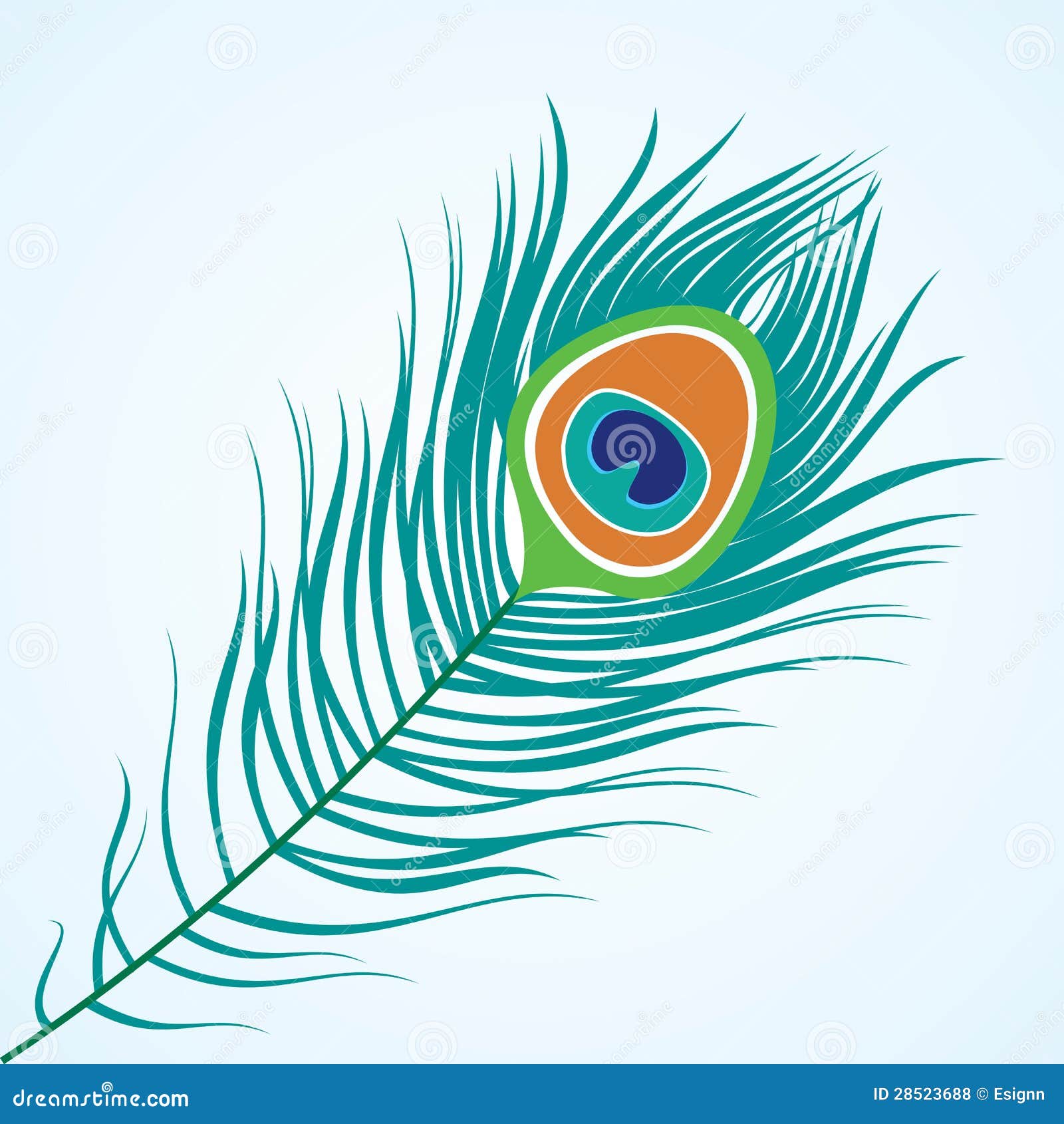 Peacock Feather Vector Free Download
