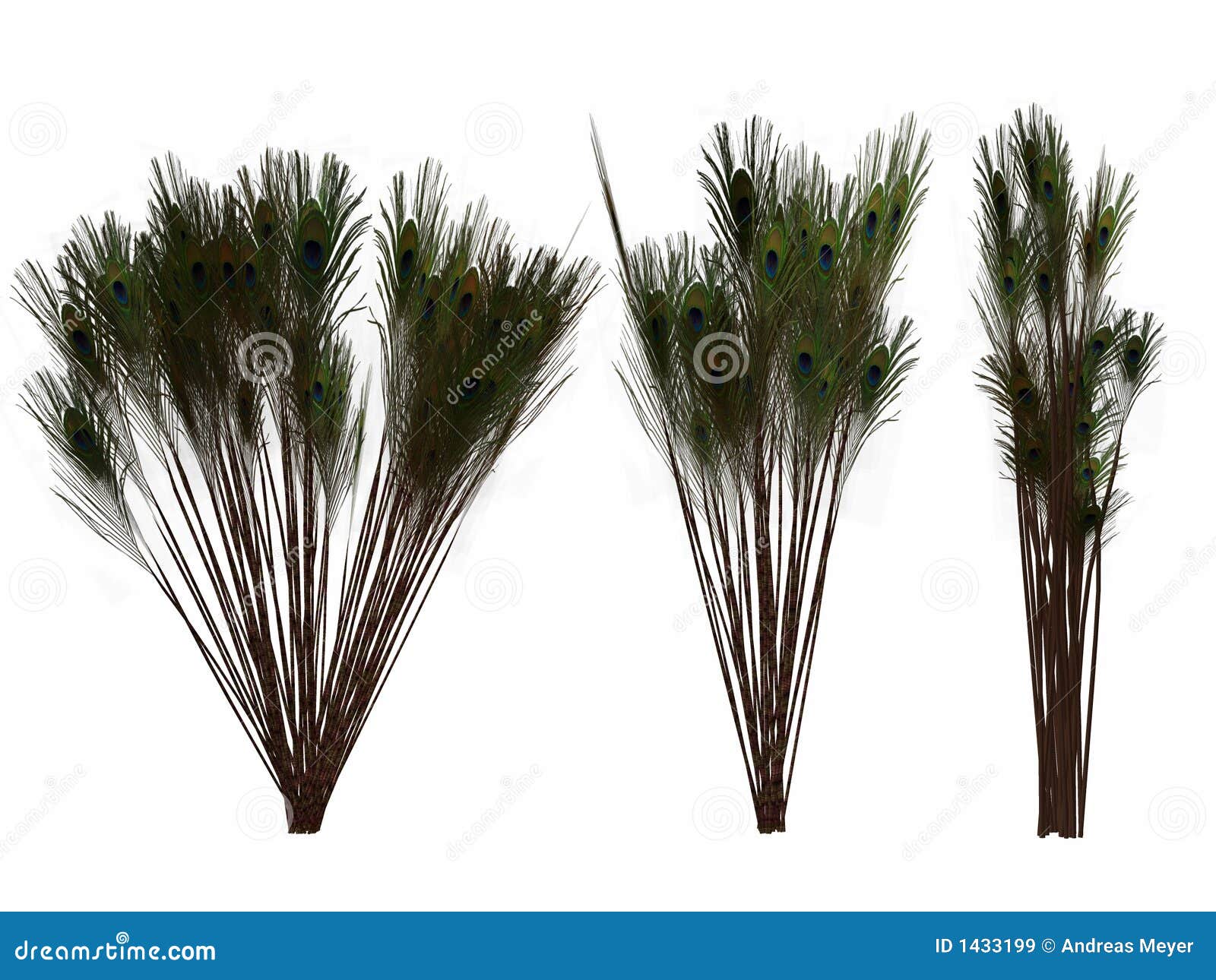 Peacock Feather Clump stock illustration. Illustration of digital - 1433199