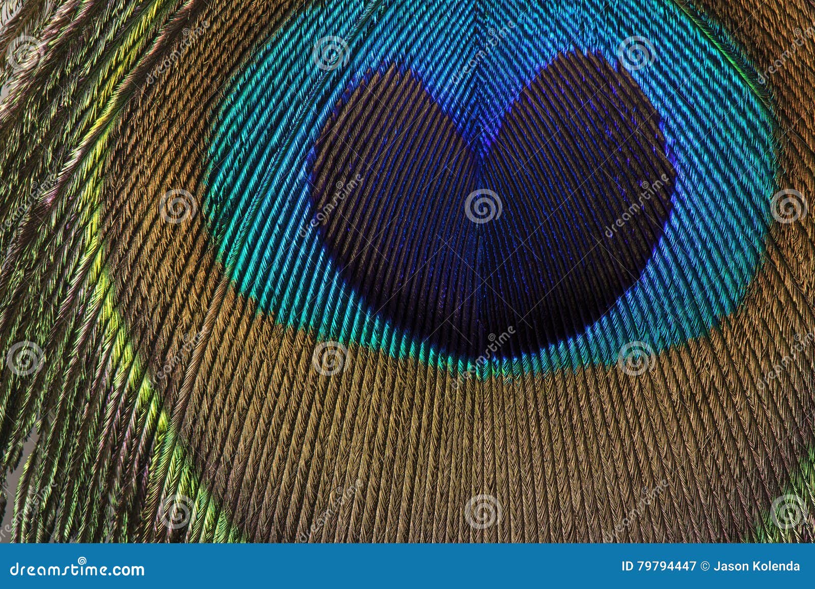 Peacock Feather - Heart stock image. Image of abstract - 79794447