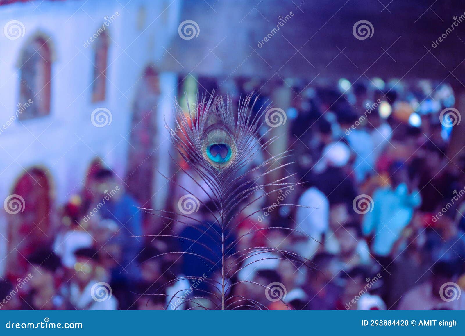 Peacock Feather in Kamakhya Temple Assam India Stock Photo - Image of ...