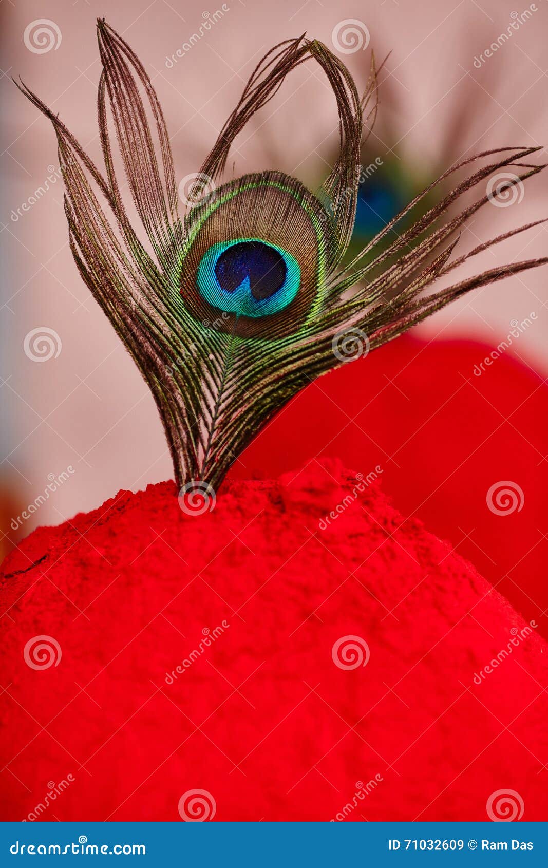 Peacock feather in kunkum stock image. Image of artistic - 71032609