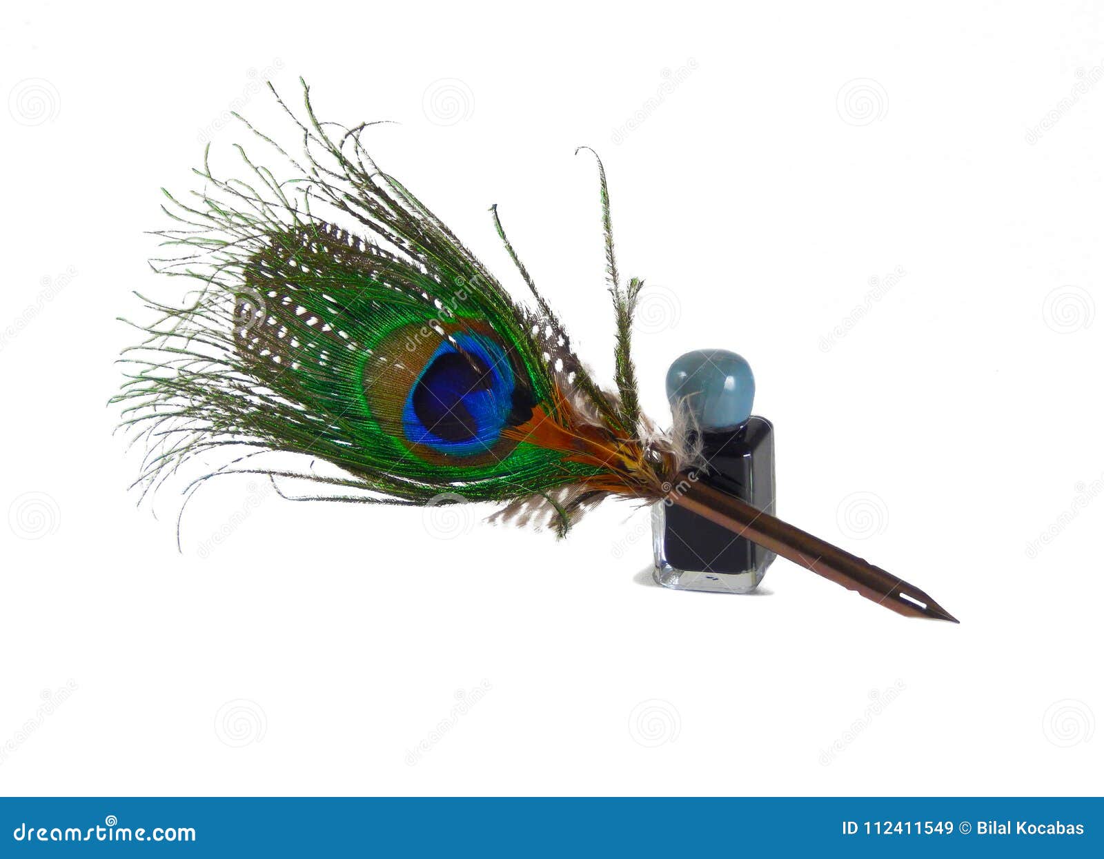 Peacock Feather Quill and Inkwell Isolated on White Stock Image - Image ...