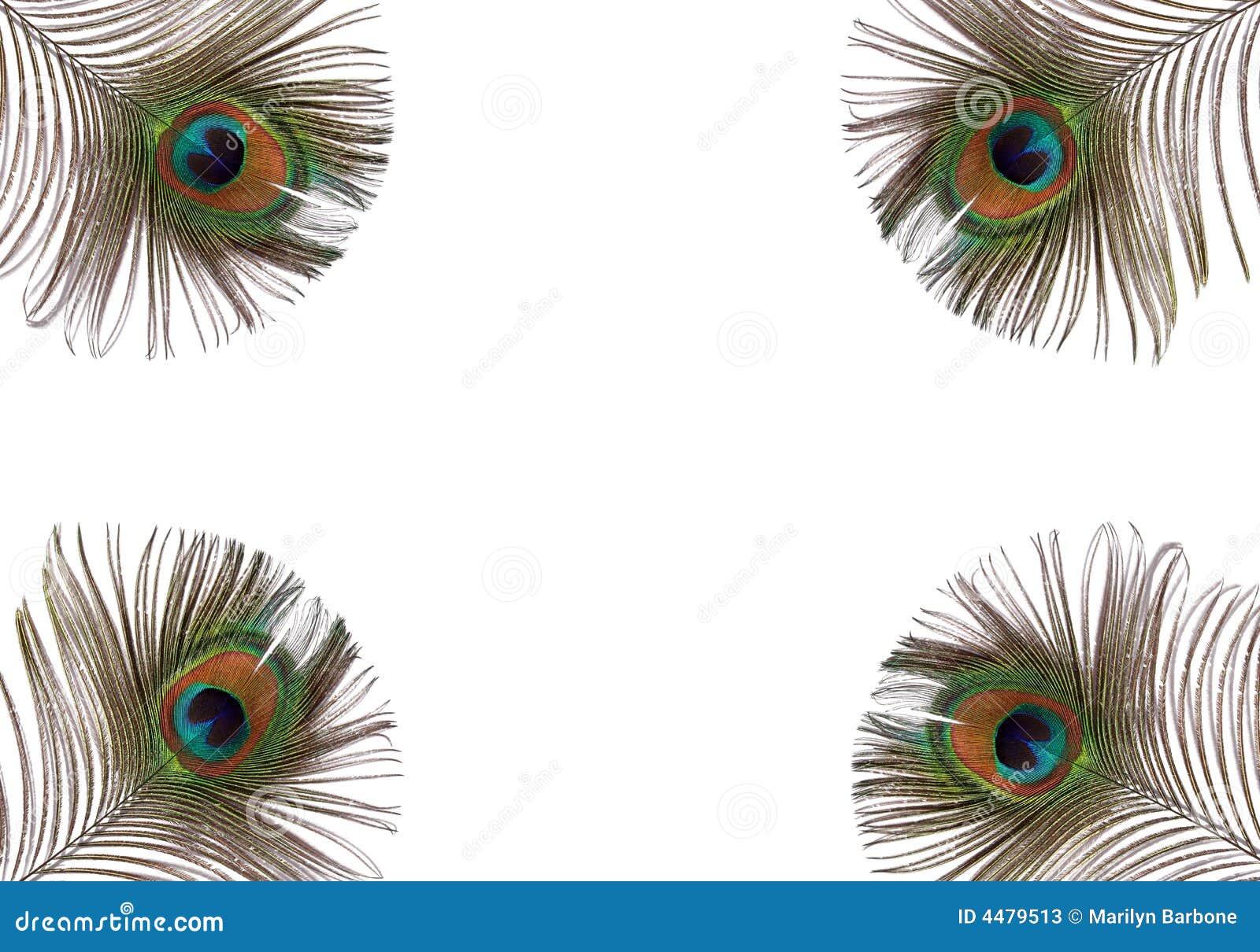 Peacock Feather Corner Border