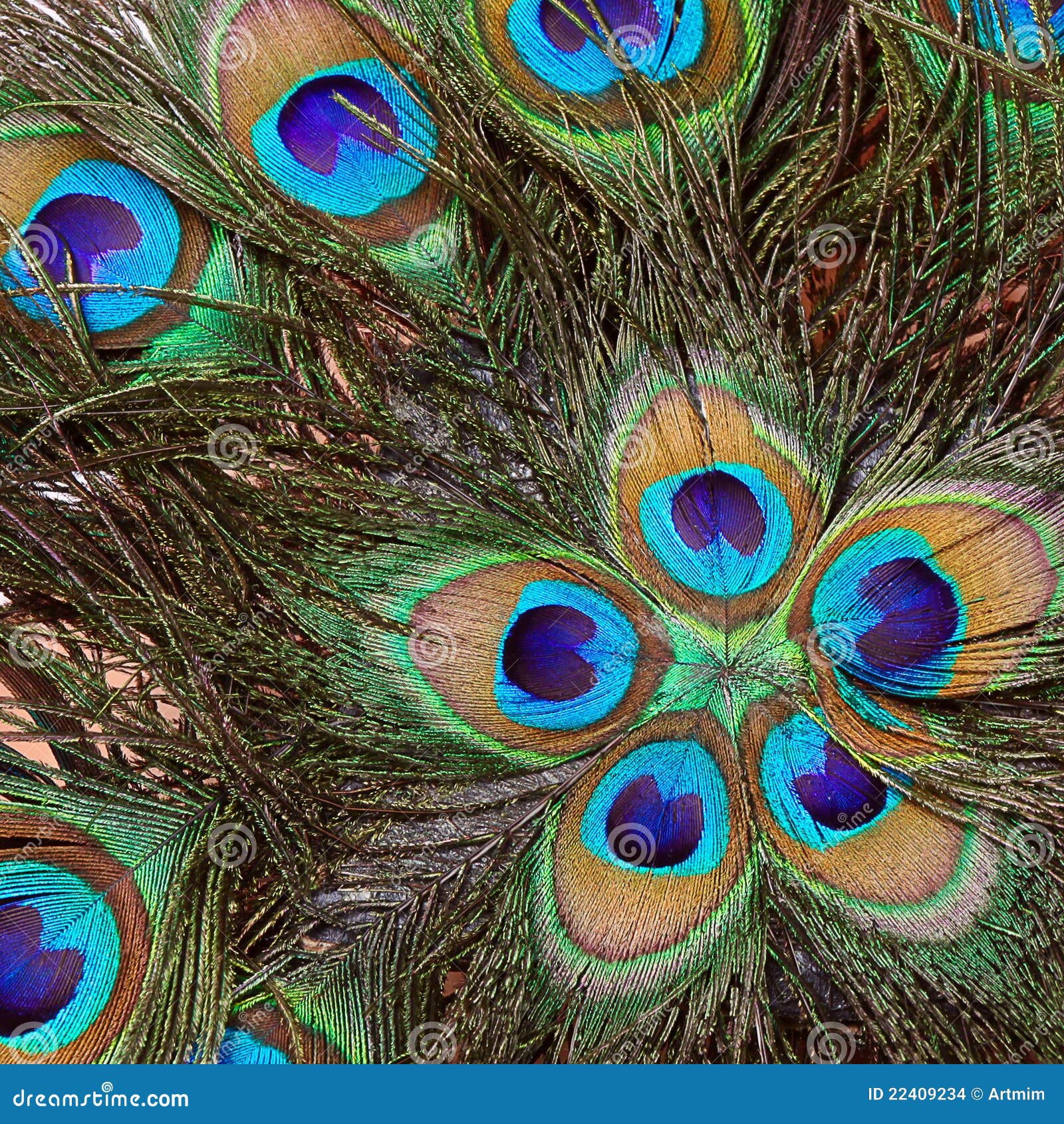 Peacock Feathers - Abstract Background Stock Photo - Image of closeup ...
