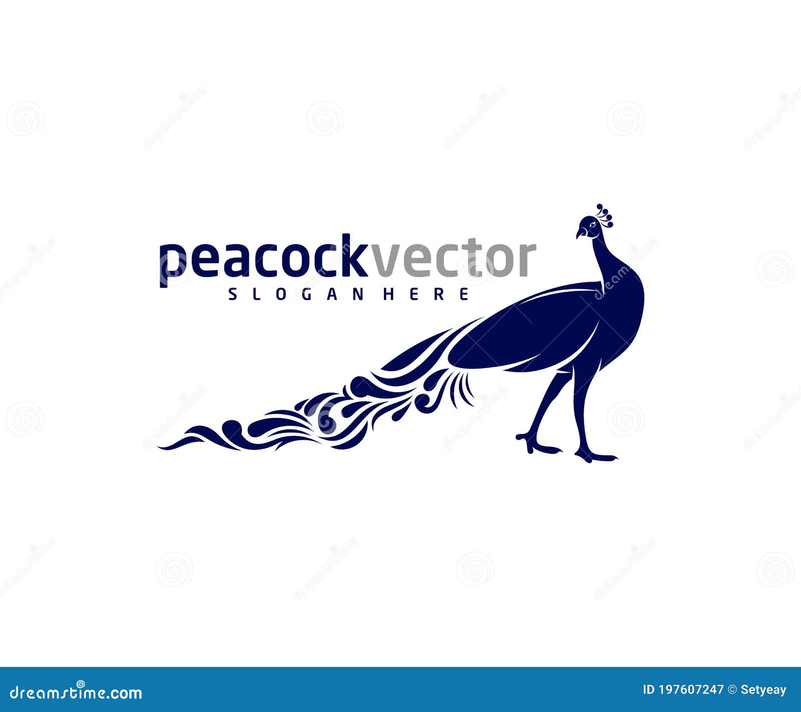 Peacock Logo Design Vector Template Peacock Bird Illustration Stock