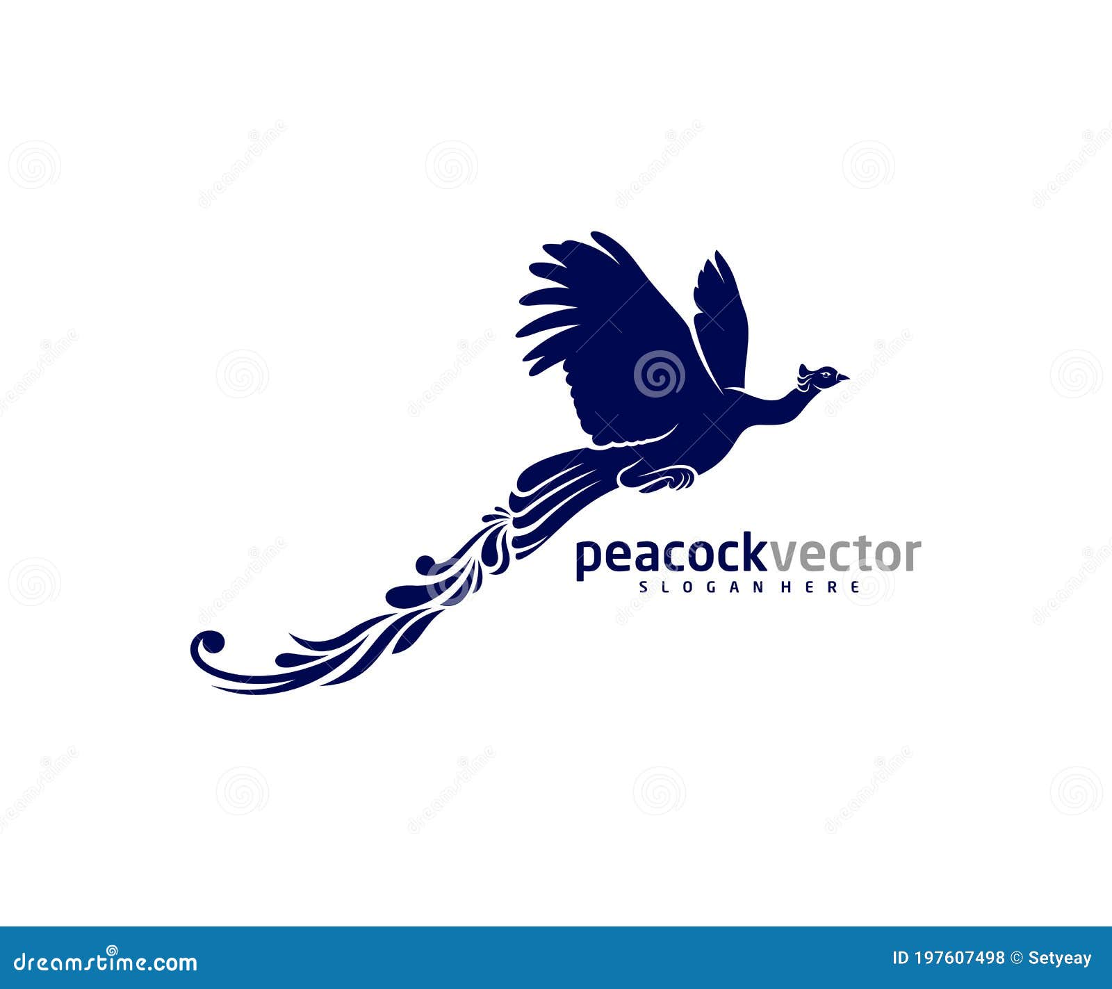 Peacock Logo Design Vector Template Peacock Bird Illustration Stock