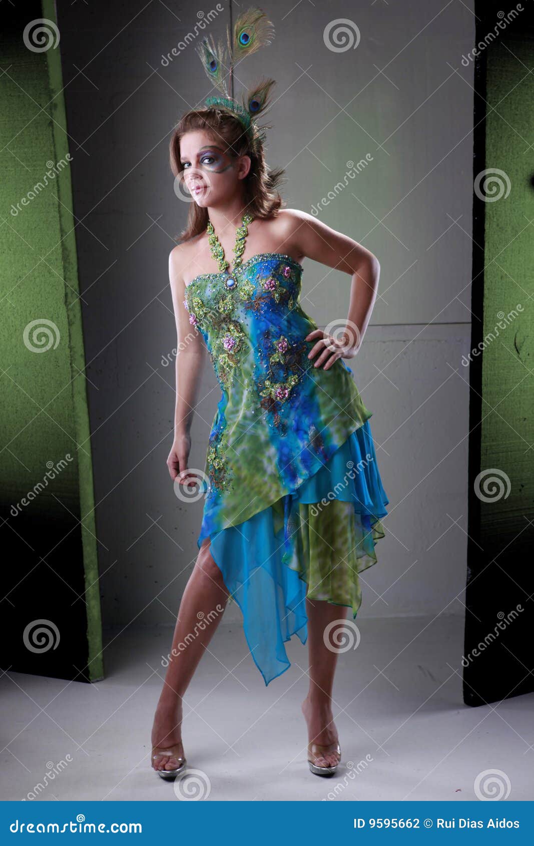 Peacock look stock photo. Image of glamorous, pose, dress - 9595662