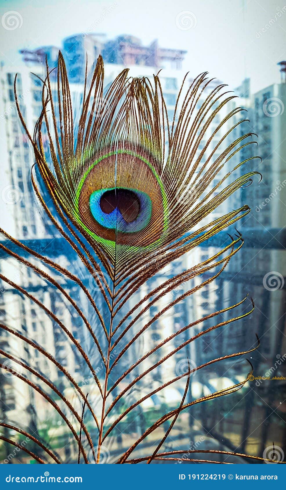 Peacock magical feather stock image. Image of pattern - 191224219