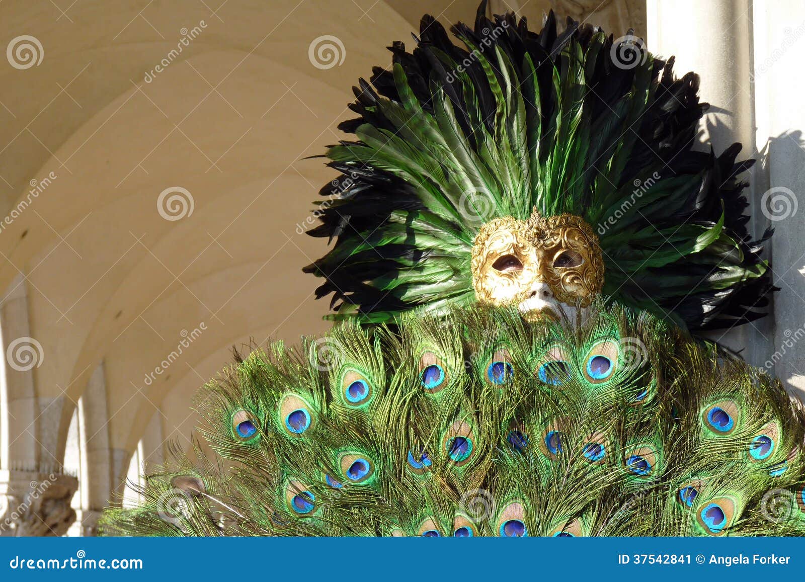 A Peacock Masquerader stock image. Image of marks, italy - 37542841