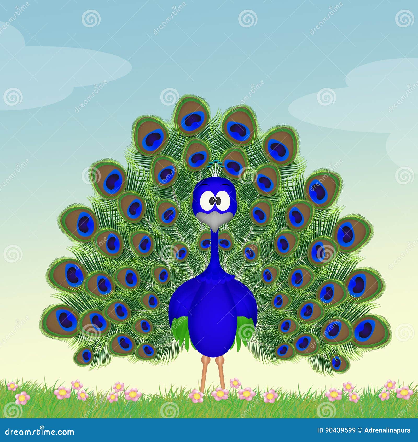 Peacock With Open Tail Standing Front View And Peahen Side View. Ink ...