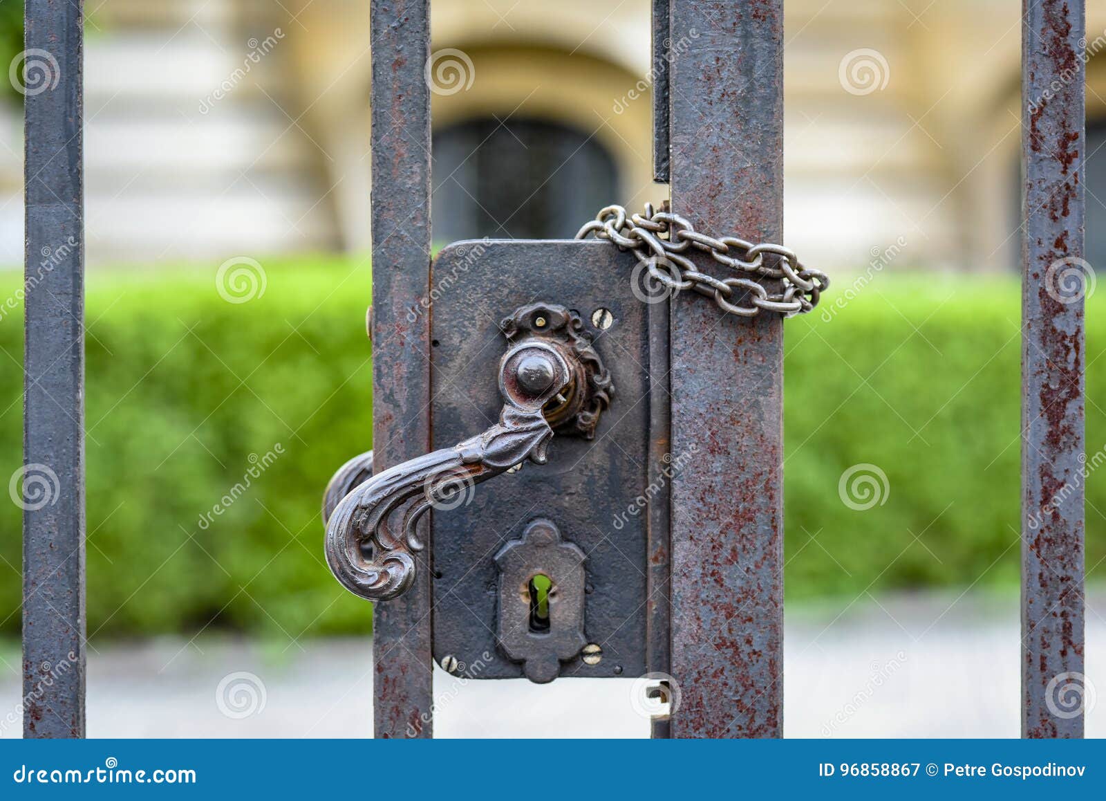Peacock portrait closeup stock image. Image of gate, iron - 96858867