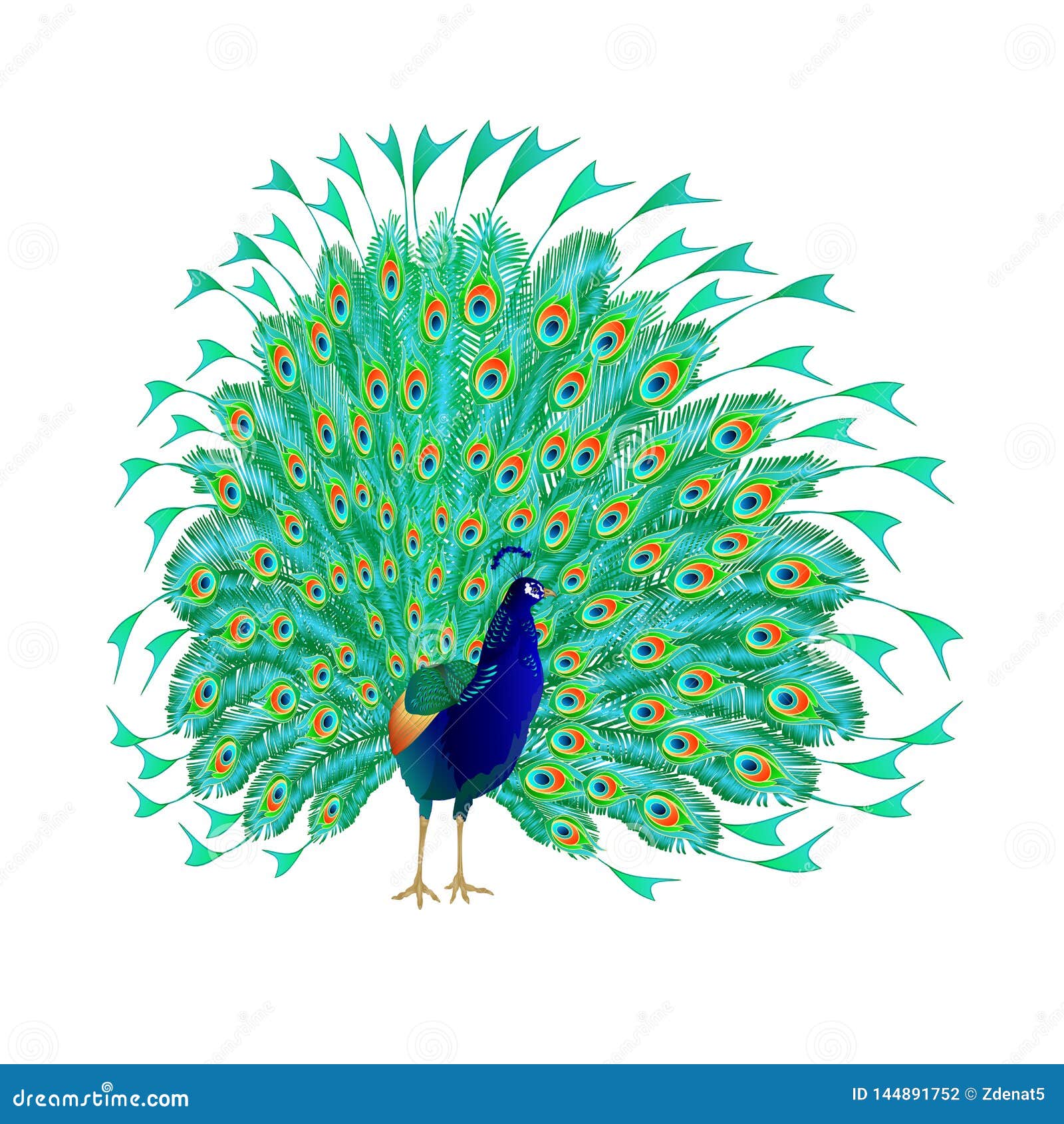 Peacocks Beauty Exotic Birds Natural And Tropical Flowers Watercoloron