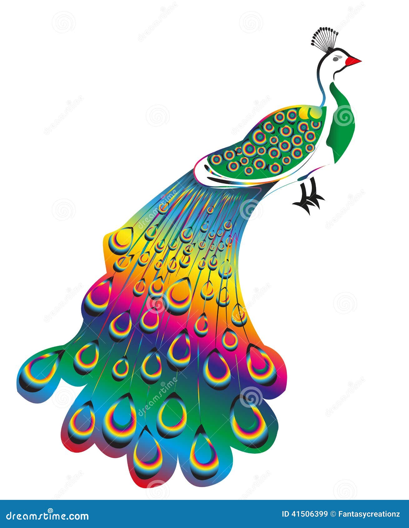 Peacok stock vector. Illustration of bright, nature, decoration - 41506399