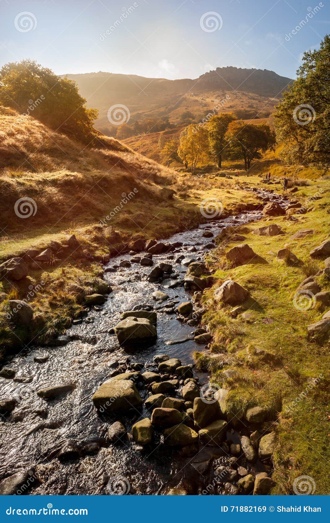 Peak district stream stock image. Image of rocks, trees - 71882169