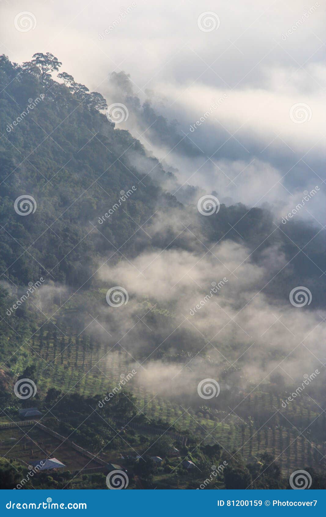 Peak Emerges from the Mass Clouds Stock Image - Image of cumulus, mass ...
