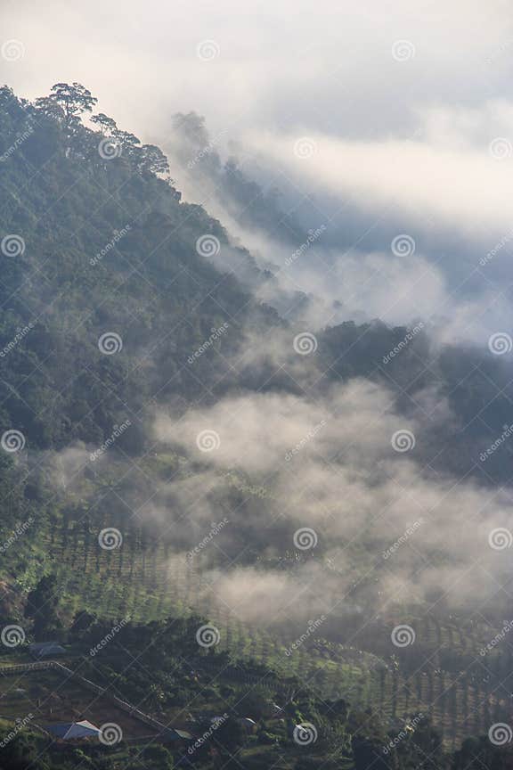 Peak Emerges from the Mass Clouds Stock Image - Image of cumulus, mass ...