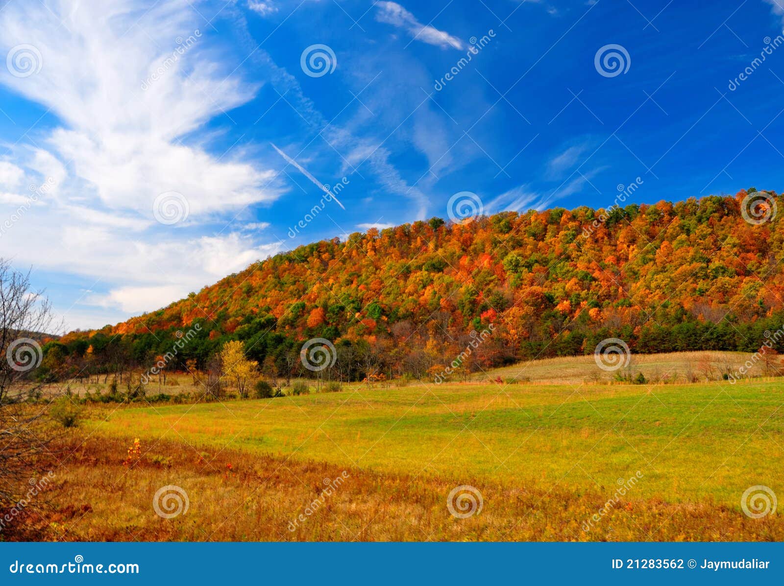 Peak Fall Foliage stock photo. Image of outdoor, green - 21283562