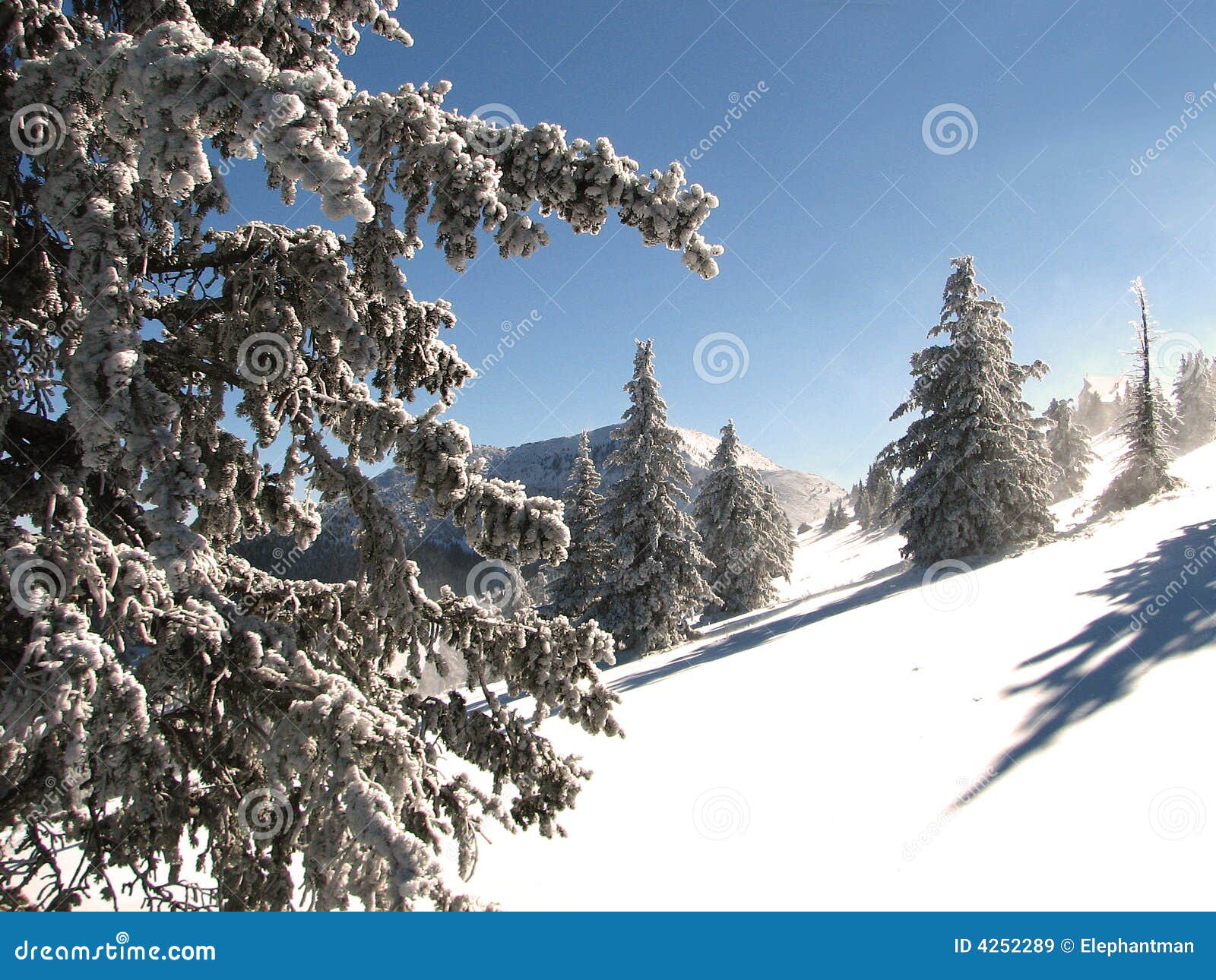 Peak of Sierra Blanca in the Southern Rockies Stock Image - Image of ...