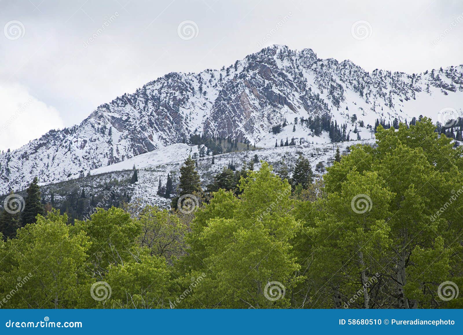 Peak with Utah Snow Capped Mountains with Rolling Green Hills Stock ...