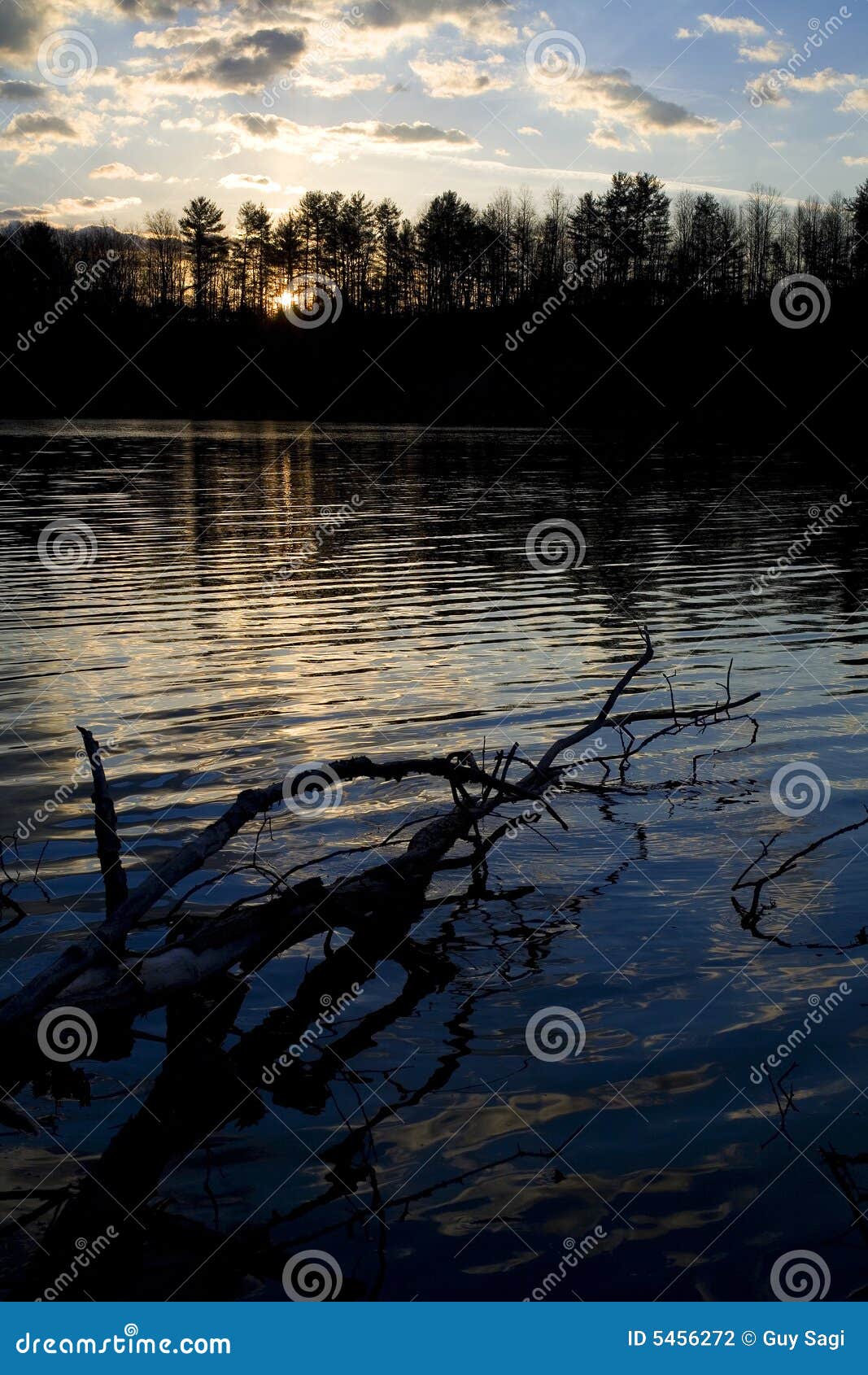 Peaking sun stock photo. Image of tree, forest, sunrise - 5456272