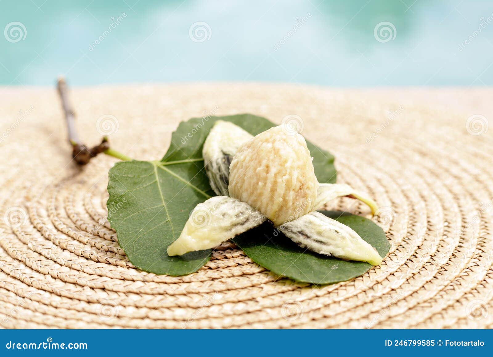 Pealed fig on a green leaf stock image. Image of ripe - 246799585