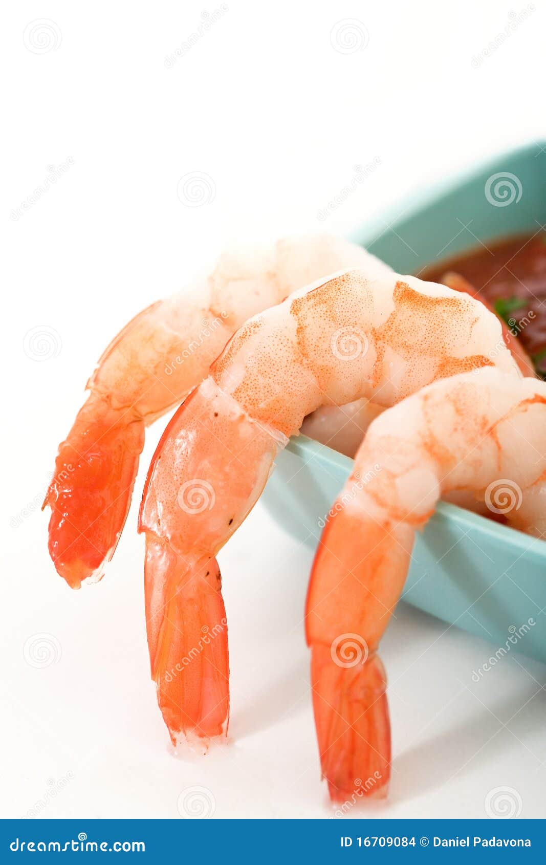 Pealed Shrimp stock photo. Image of sauce, dinner, gourmet - 16709084