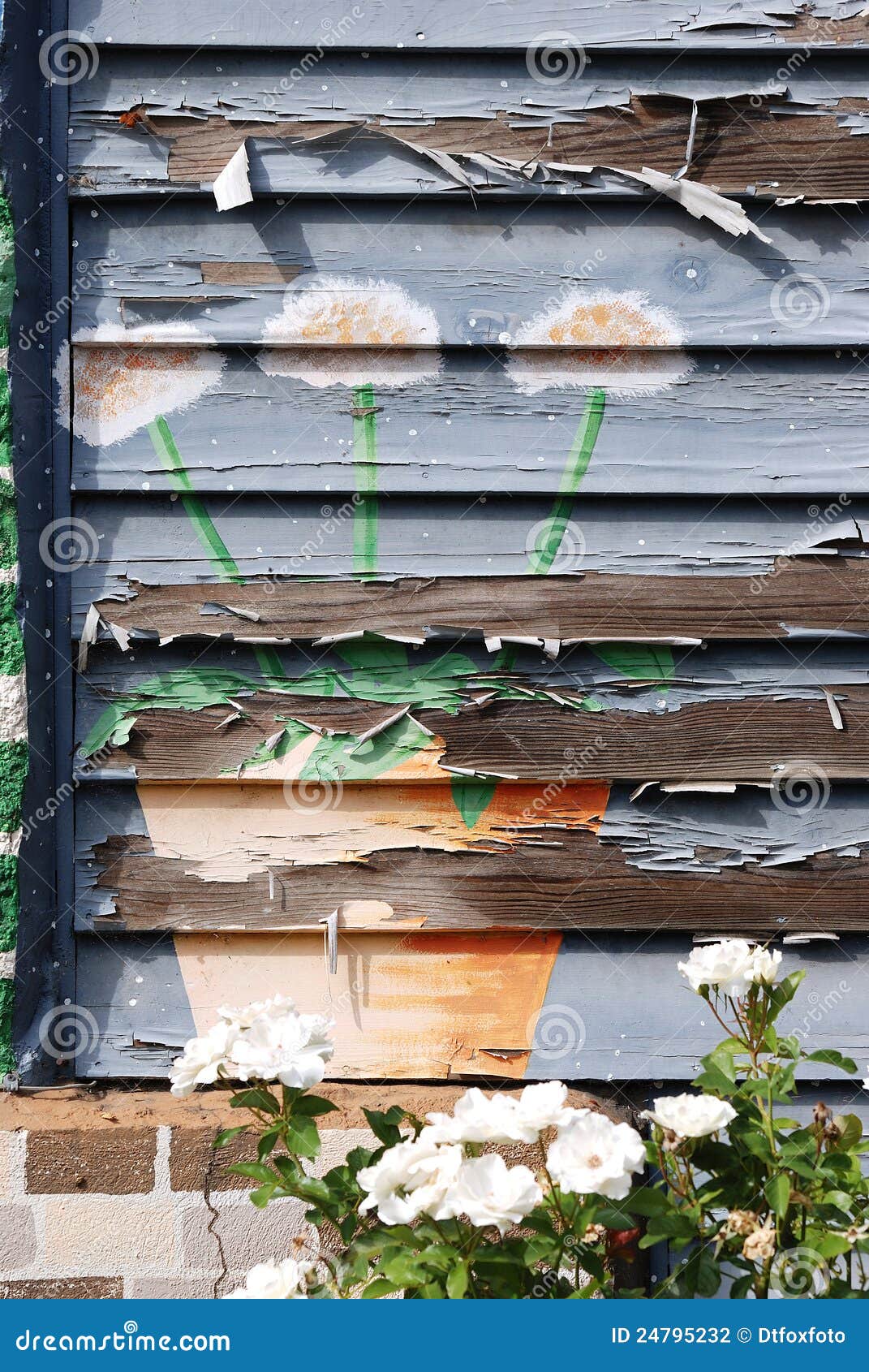 Pealing Paint stock photo. Image of flowery, flowers - 24795232