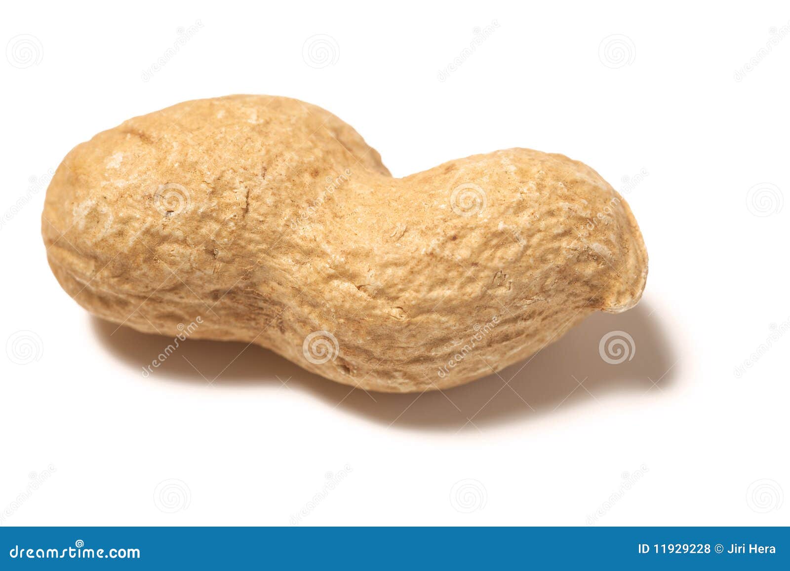 Peanut stock photo. Image of brown, healthy, beige, pattern - 11929228