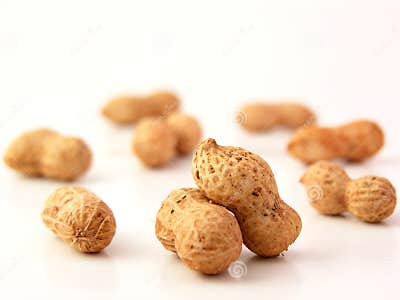 Peanut stock image. Image of peanuts, trail, cuisine, decoration - 1205933