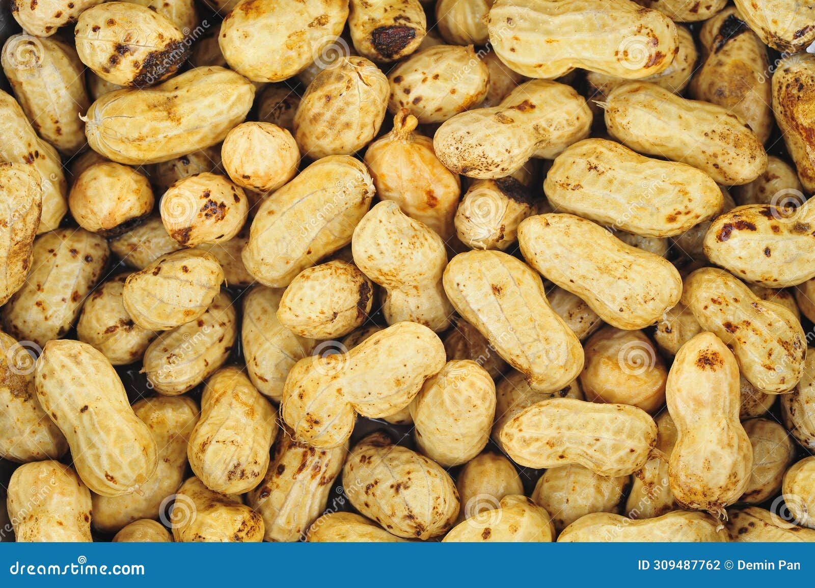 Peanut stock photo. Image of peanuts, leaves, food, vegetarian - 309487762