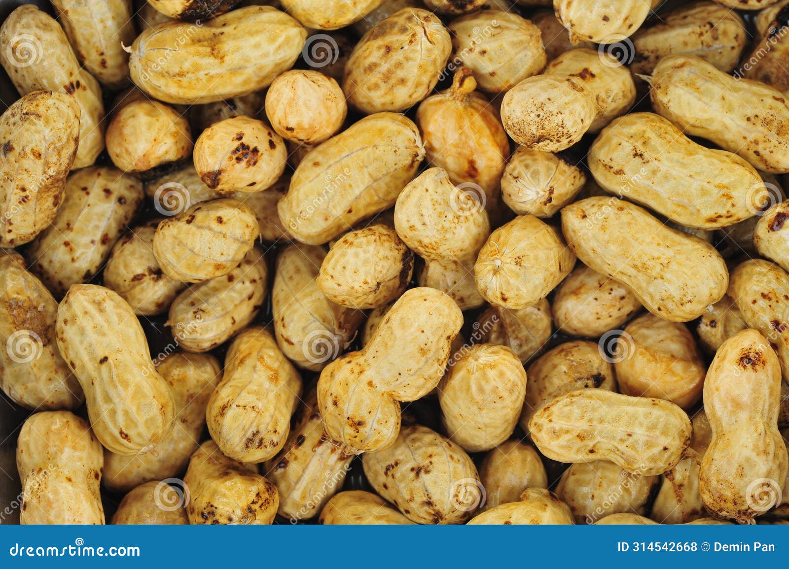 Peanut stock photo. Image of beautiful, closeup, seeds - 314542668