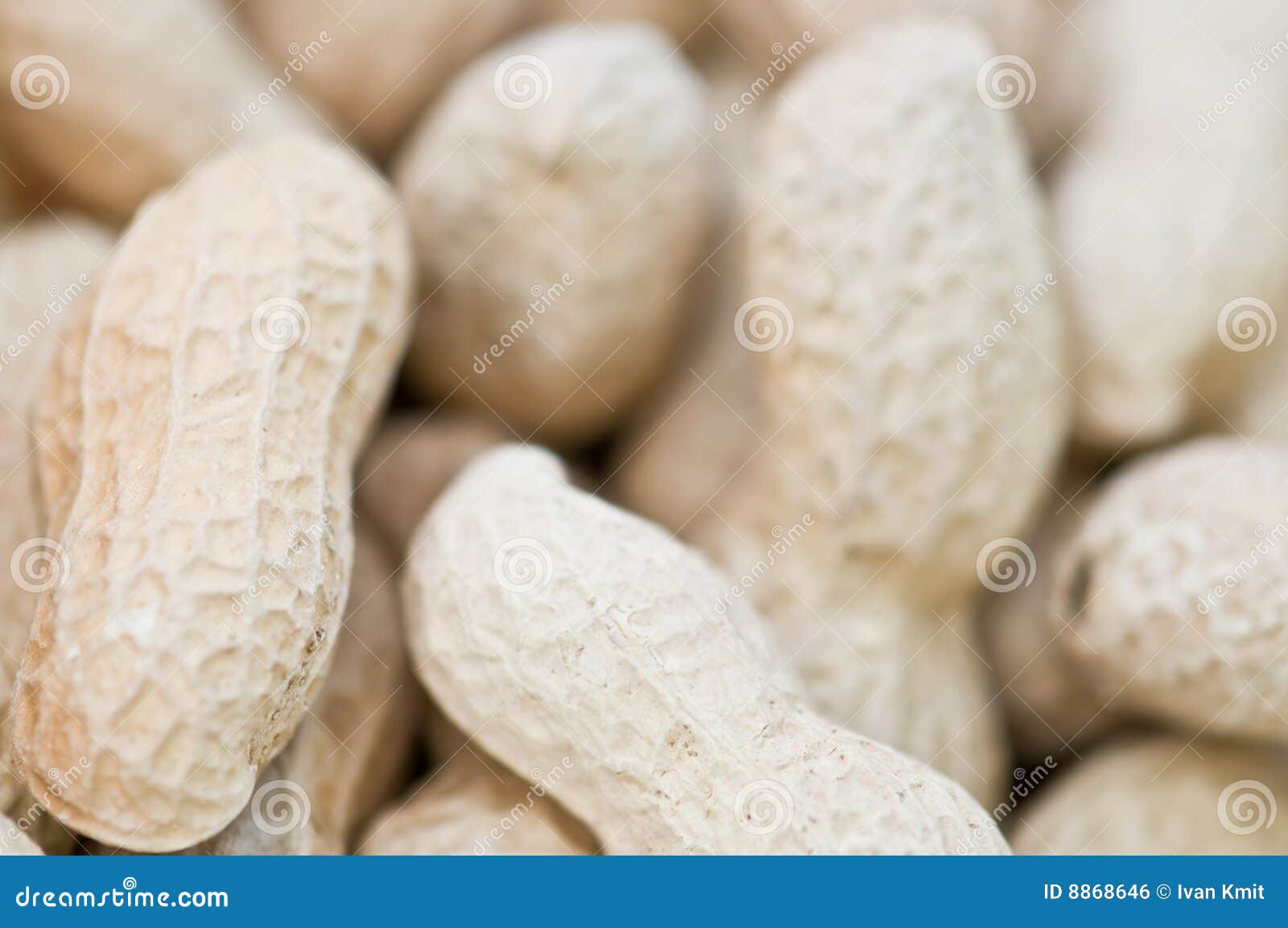 2,442 Large Peanut Stock Photos - Free & Royalty-Free Stock Photos from ...