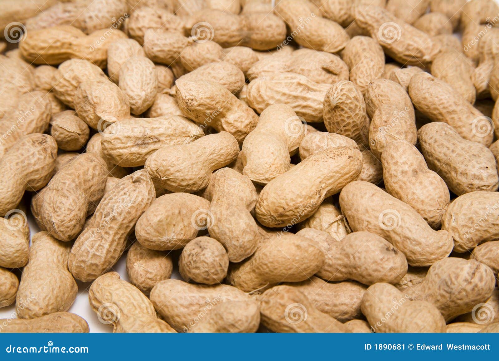 Peanut background stock image. Image of grown, peanuts - 1890681