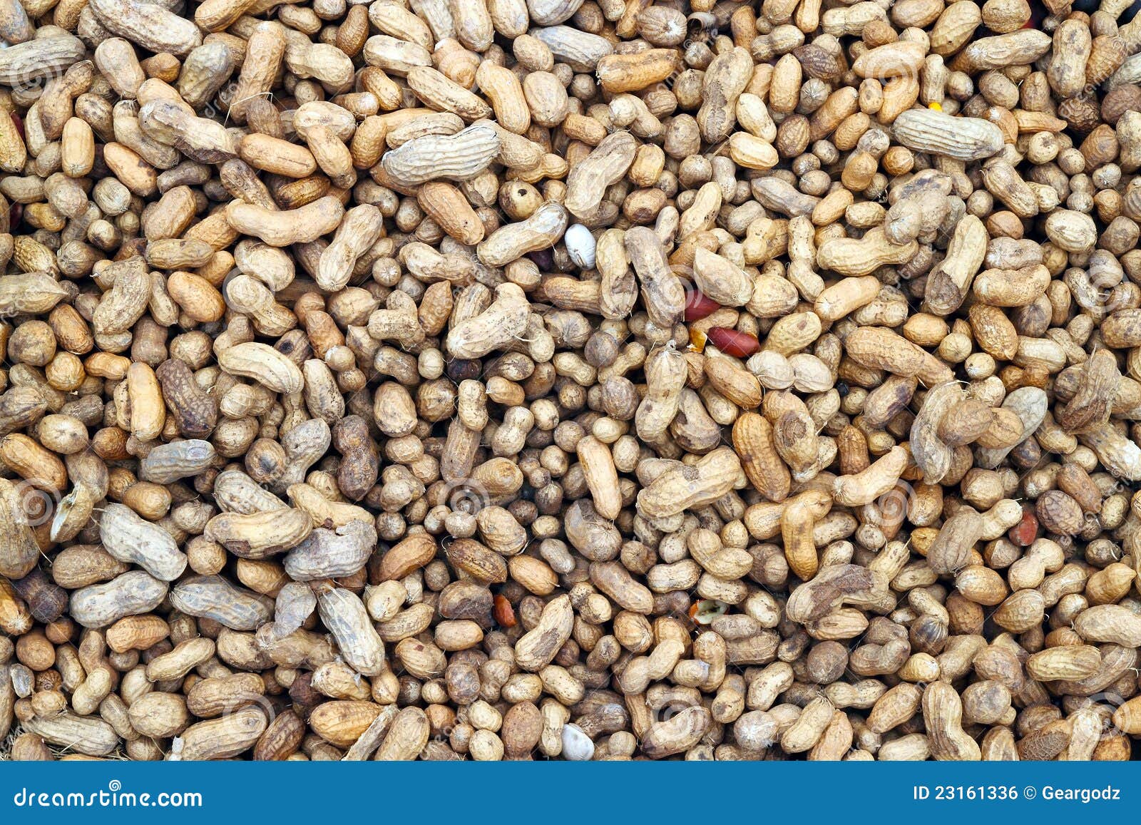 Peanut Background Stock Photo | CartoonDealer.com #48520884