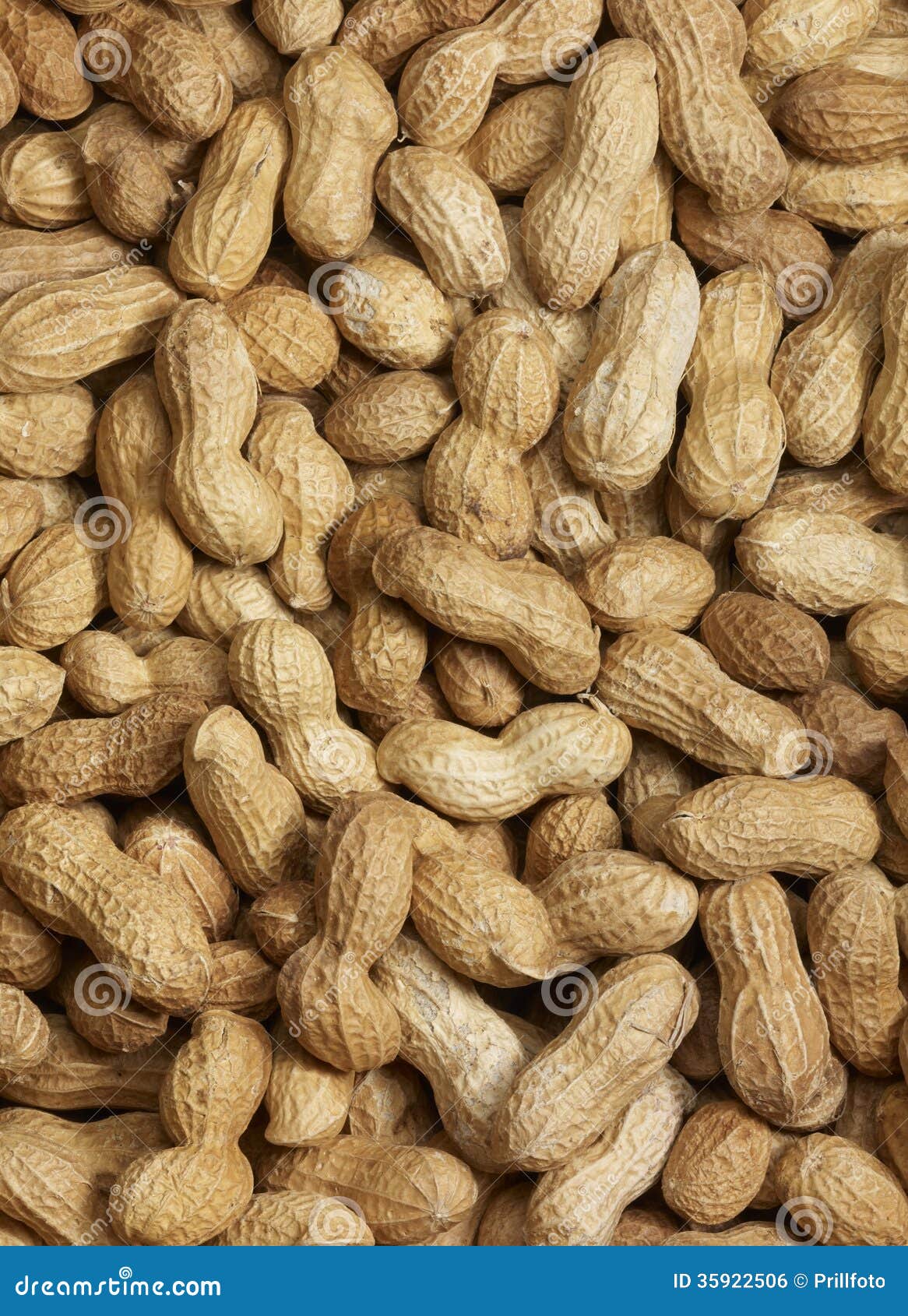 Peanut background stock photo. Image of fruit, seasoning - 35922506