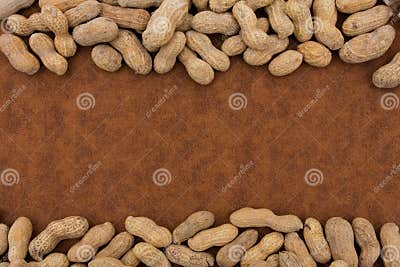 Peanut Border stock image. Image of nutrition, health - 8642159