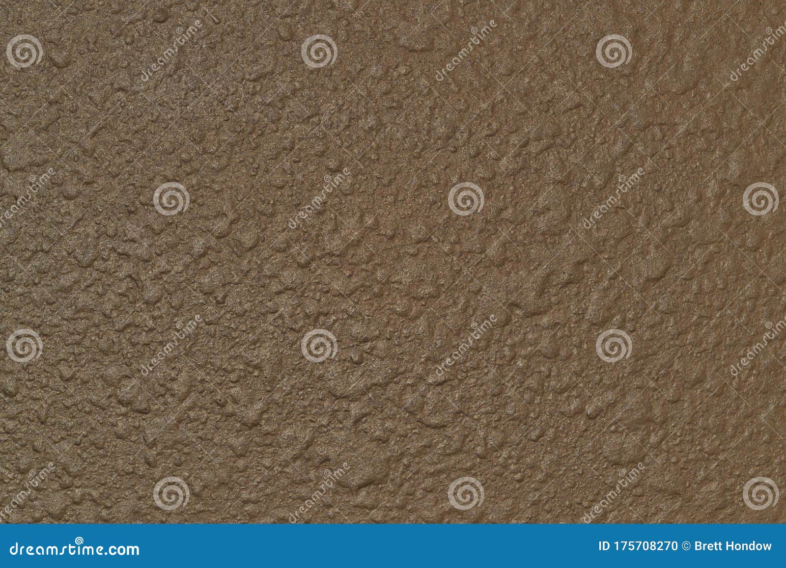 Peanut Brown Paint Color Swatch. Stock Photo - Image of contractor ...