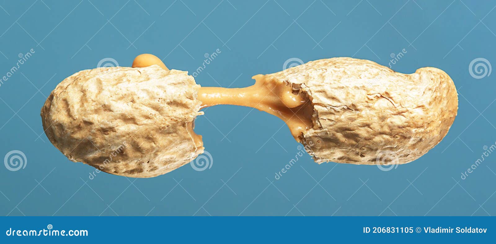 Peanut Butter Flows Out of the Broken Peanuts on a Blue Background ...