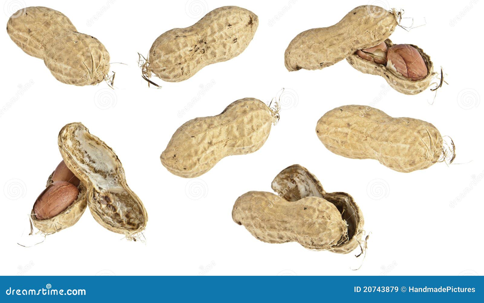 Peanut collage stock image. Image of group, closeup, nutshell - 20743879