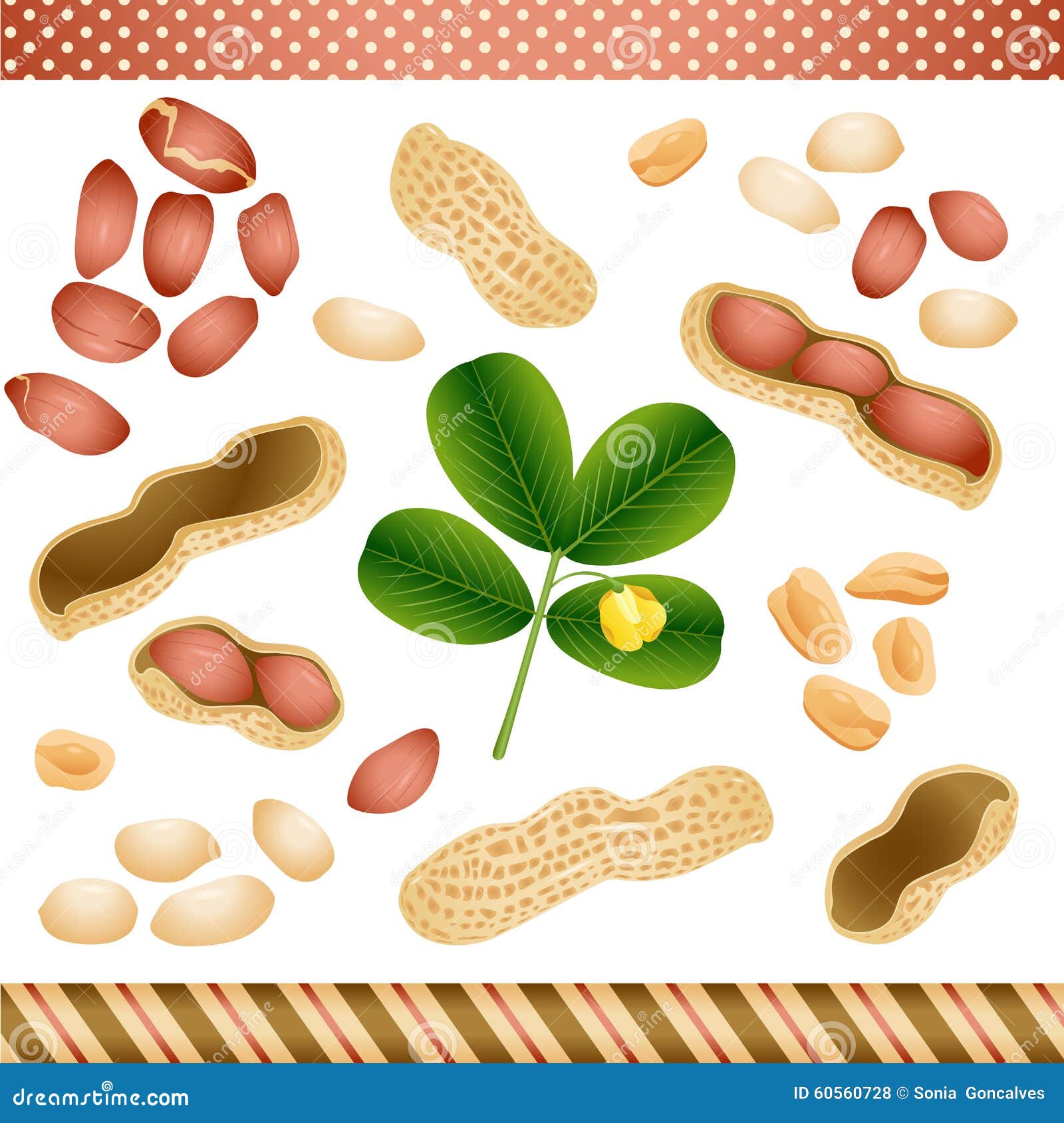 Peanuts Clipart. Peanuts Colorful Flat Icon Vector Illustration ...
