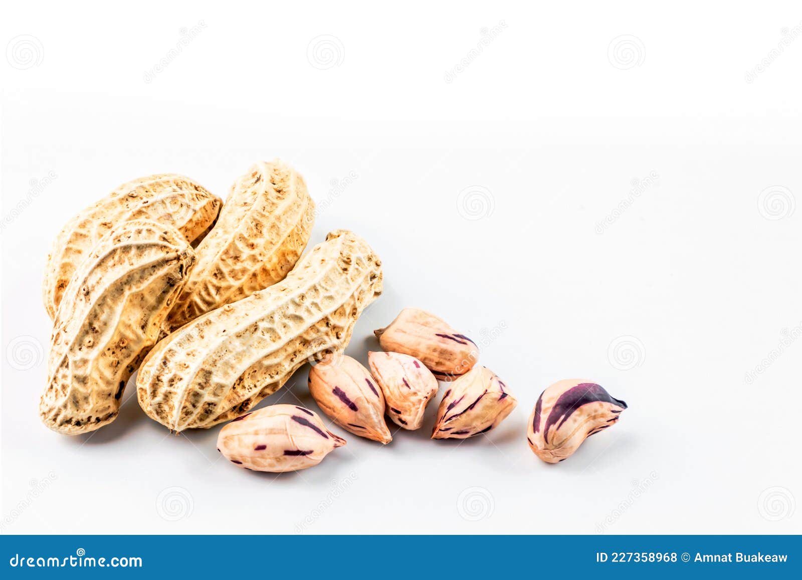 Peanut, Dried Groundnuts, Monkey Nut on White Background Stock Photo ...
