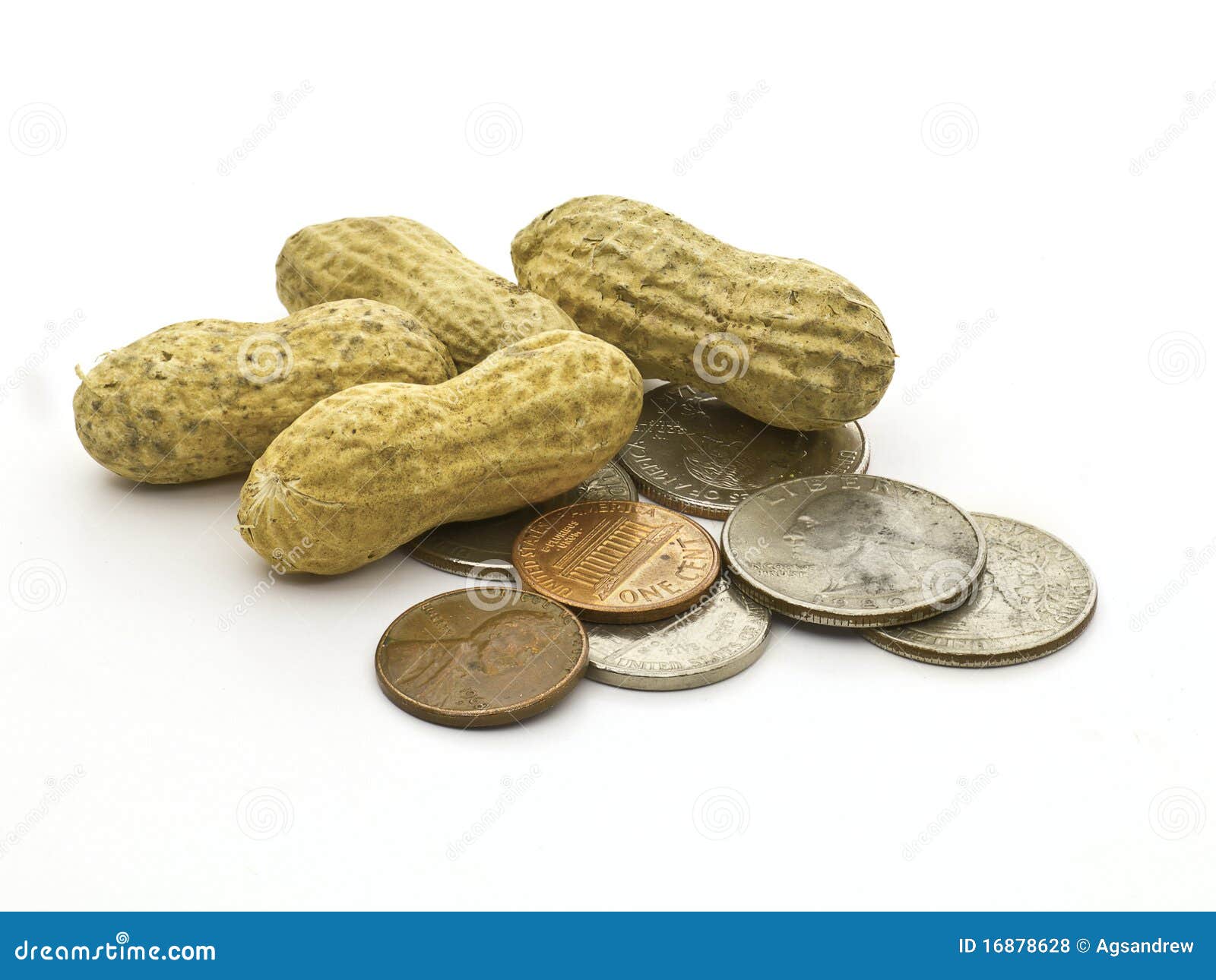 Peanut Earnings stock photo. Image of bank, luck, wages - 16878628