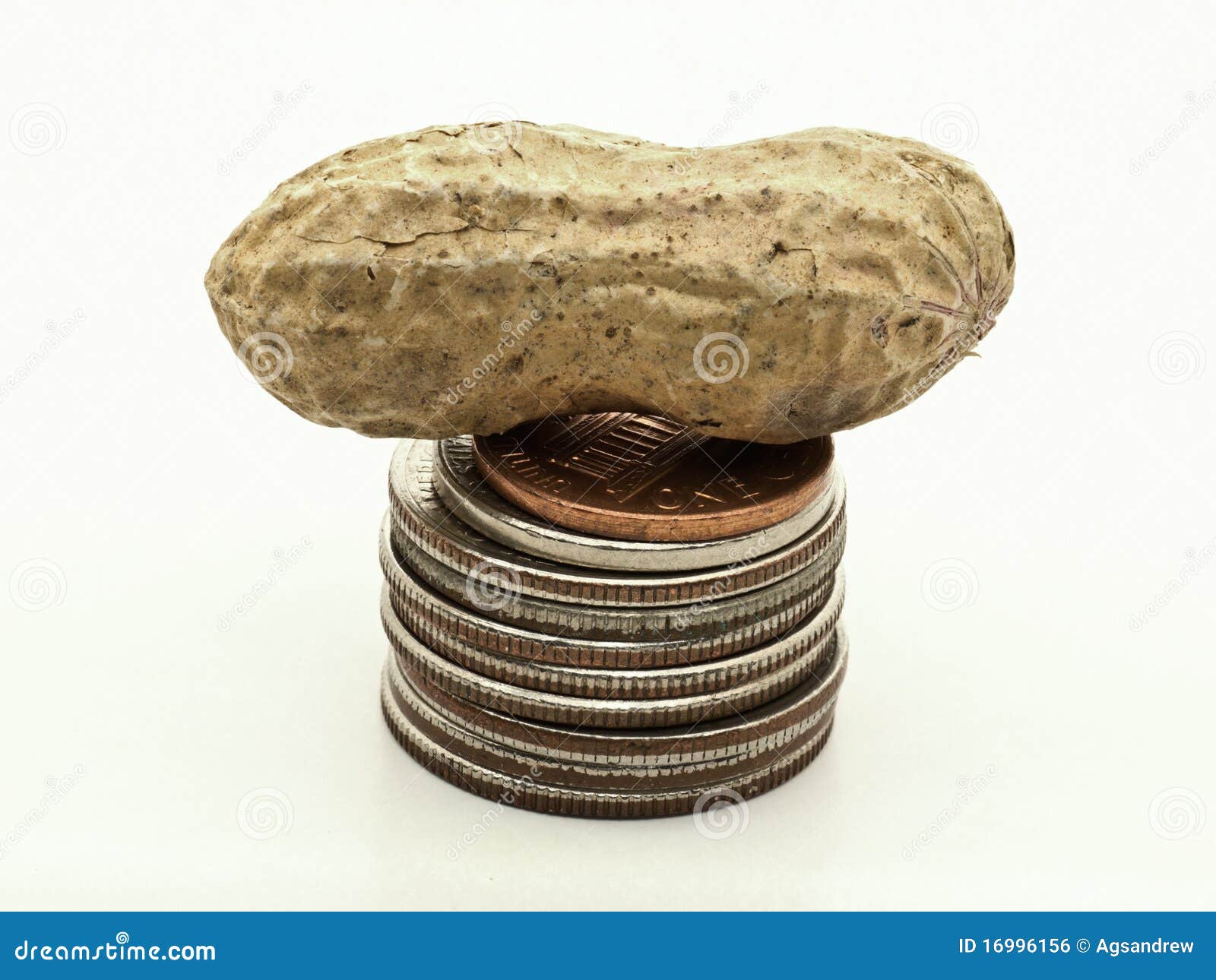 Peanut Earnings stock photo. Image of peanuts, sell, account - 16996156