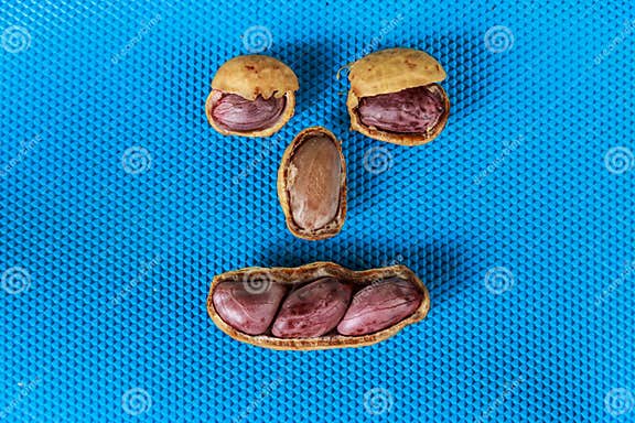 Peanut stock image. Image of crisp, smile, seed, happy - 41729101