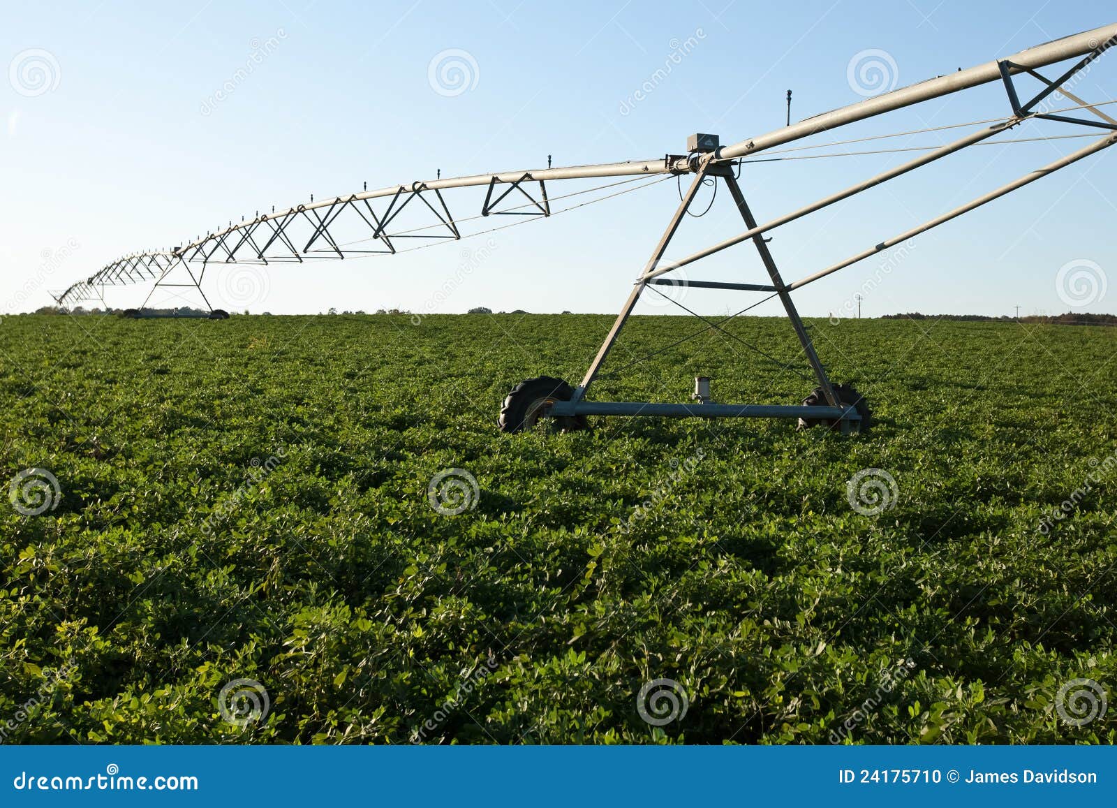 Peanut Farm Irrigation stock photo. Image of georgia - 24175710