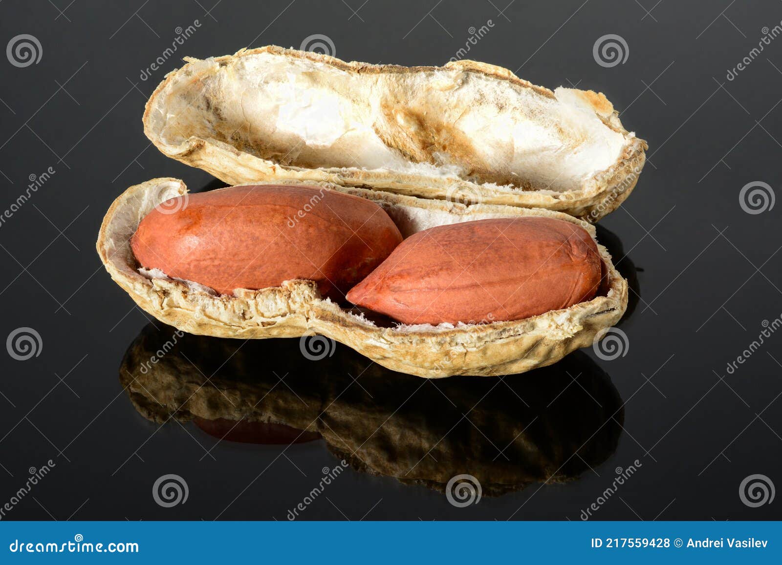 Peanut on Glossy Black Surface with Reflection. Peanut with Two Kernels ...