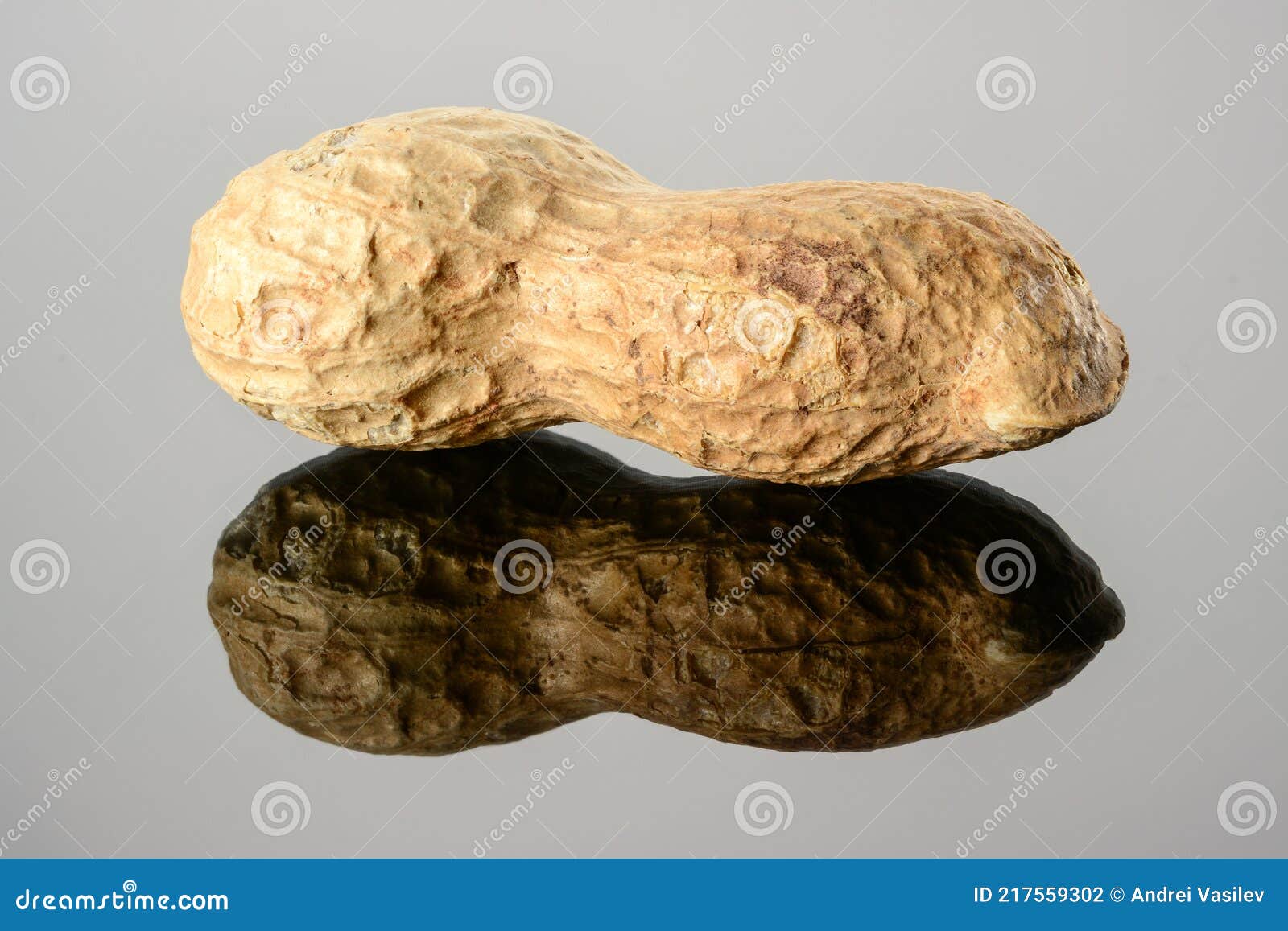 Peanut on Glossy Grey Surface with Reflection. Ripe Whole Real Peanut ...